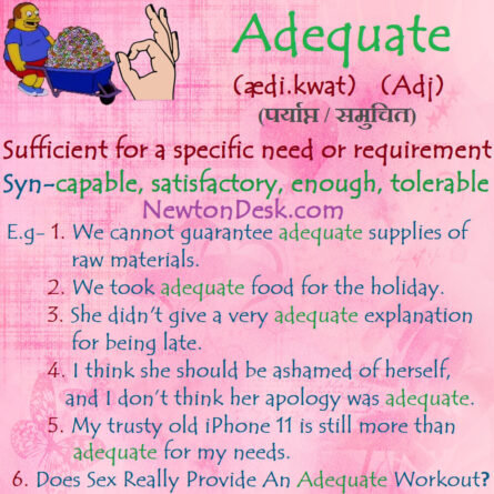 Adequate Meaning - Sufficient For A Specific Need | Vocabulary Cards