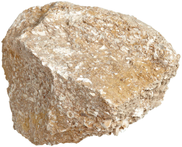 Calcium Ca (Element 20) of Periodic Table - Elements FlashCards