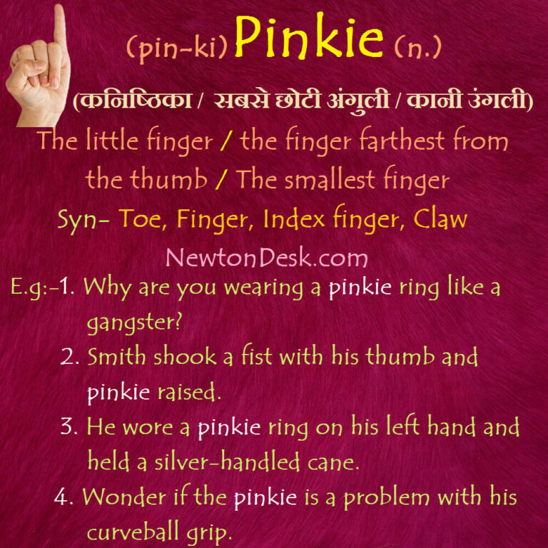 Pinkie - The Finger Farthest From The Thumb - Newton Desk
