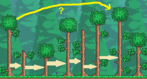 The Secret Life Of Tree Plants - Can Plants Feel Pain? - Wood Wide Web