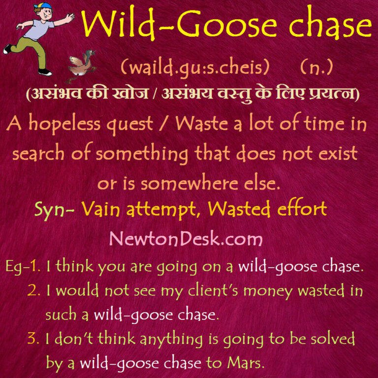 wild goose chase definition Archives