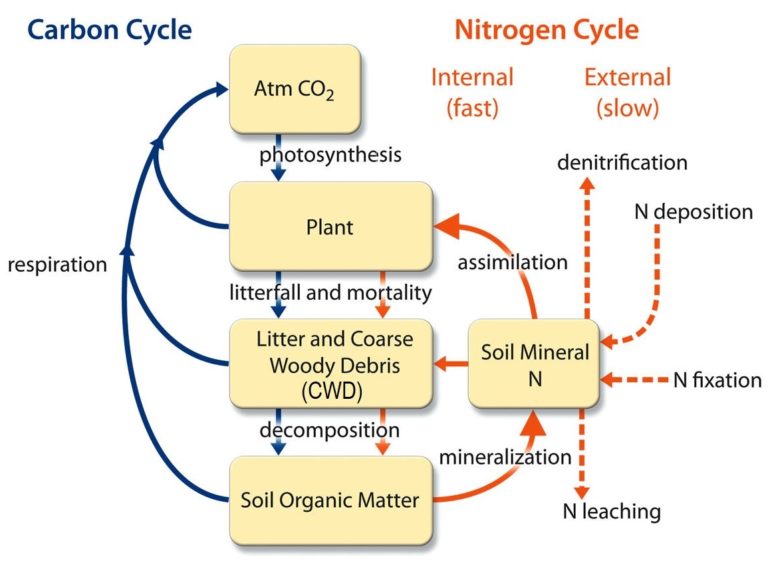 Carbon Element With Reaction, Properties, Uses, & Price - Periodic Table