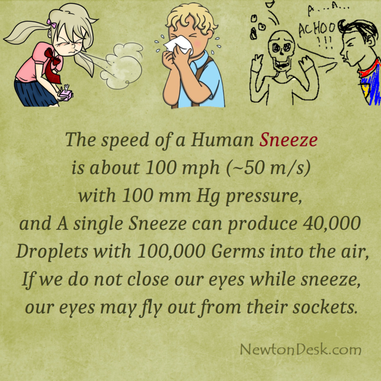 What Is The Speed, Pressure, Germs Of Human Sneeze? - Health Facts