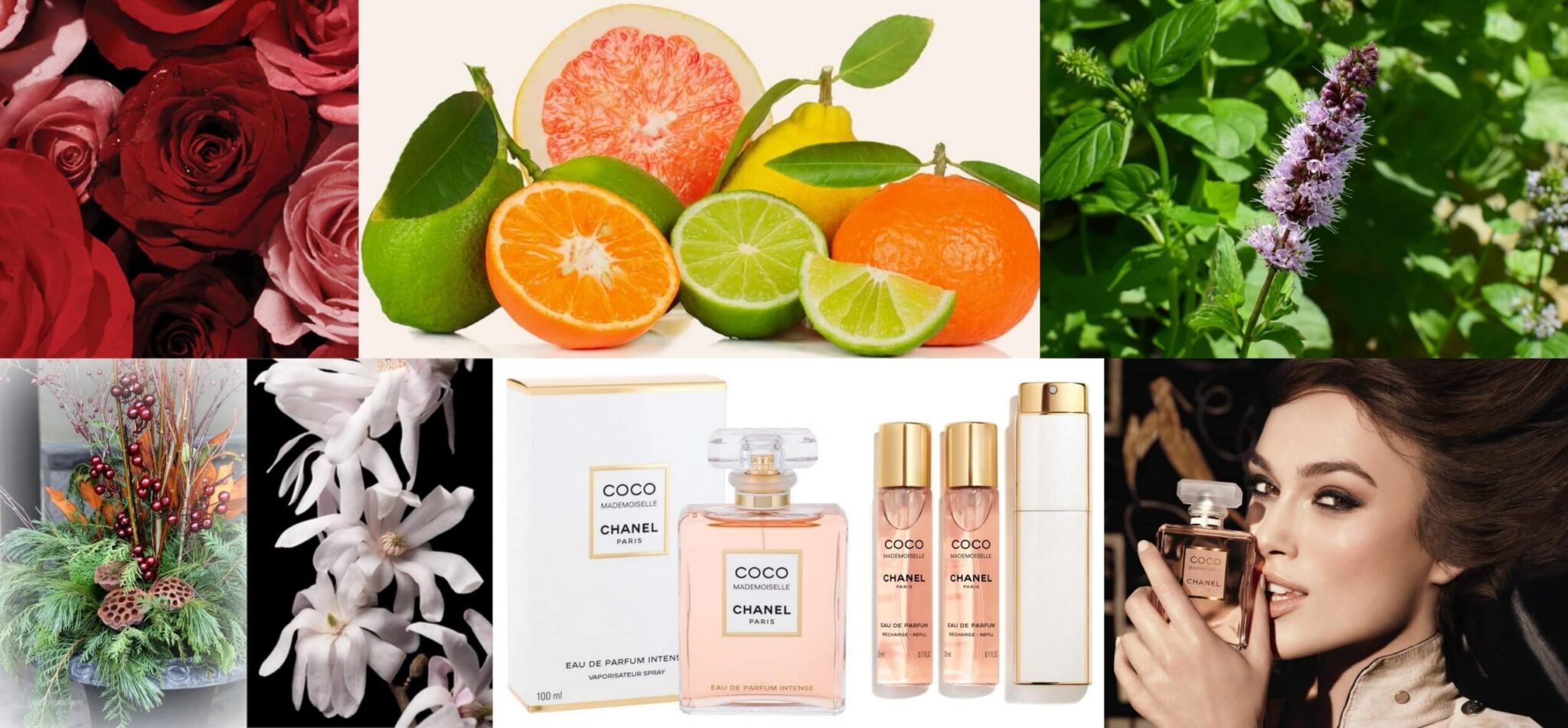 Top 10 Best Perfumes For (Women) In The World - Top Ten Lists