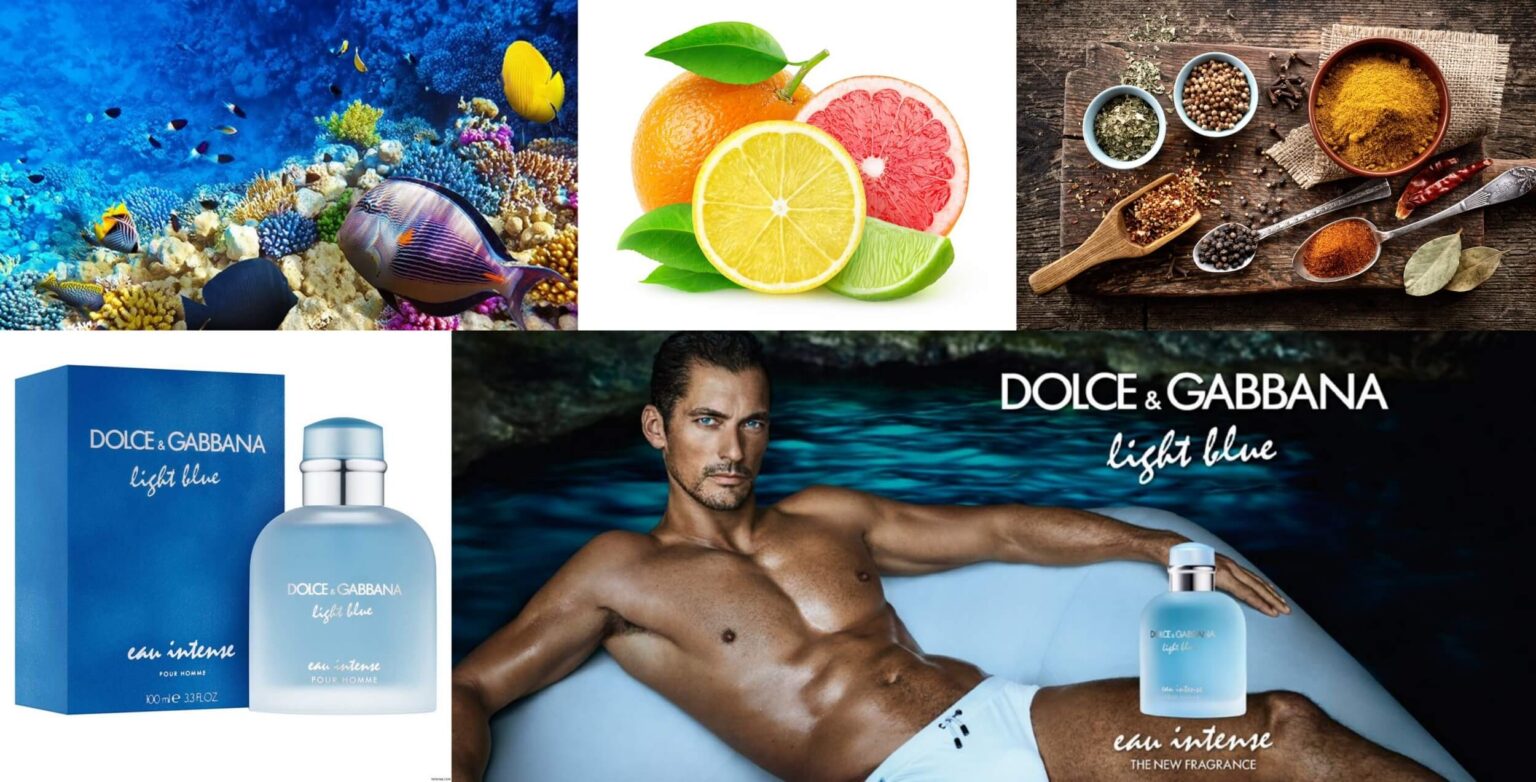 Top 10 Best Perfumes / Cologne For Men In The World - Top Ten Lists