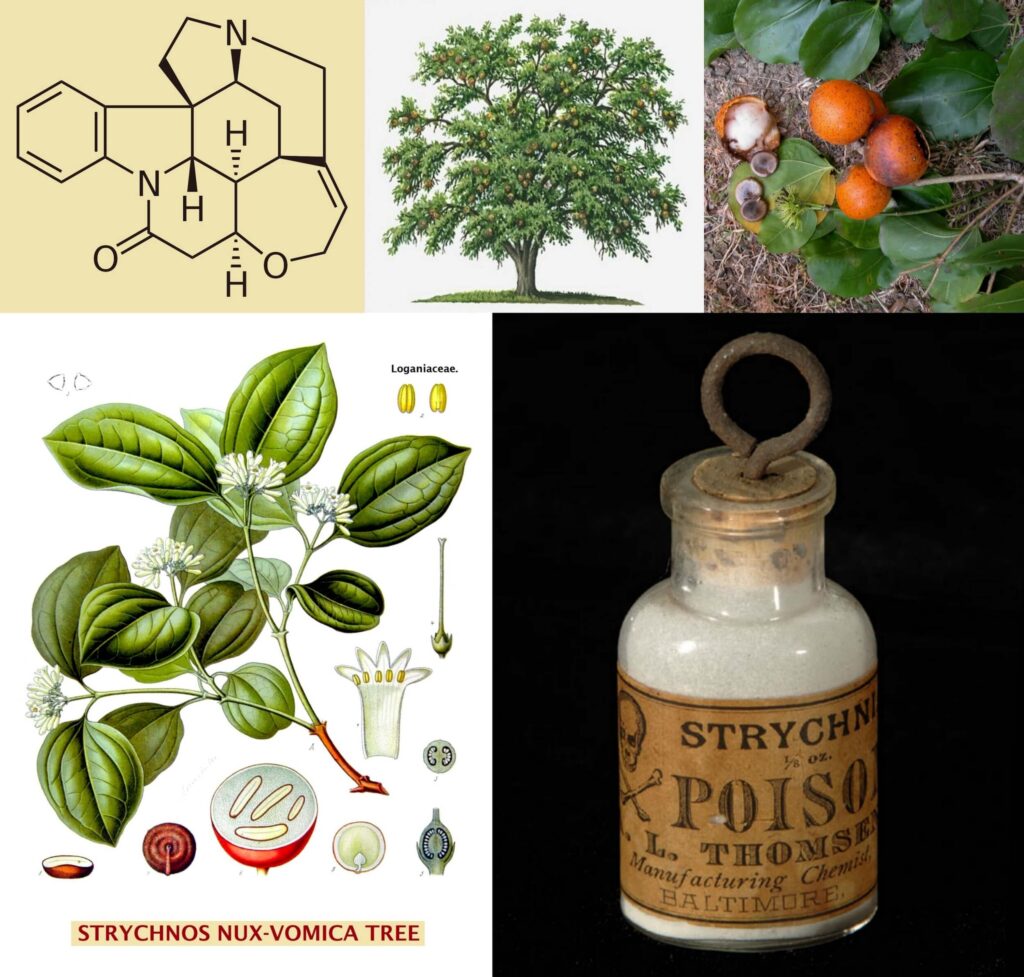 Top 10 Most Deadly Poisons of The World For Mankind - Top Ten Lists