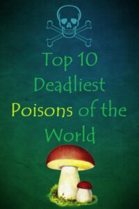 Top 10 Most Deadly Poisons of The World For Mankind - Top Ten Lists