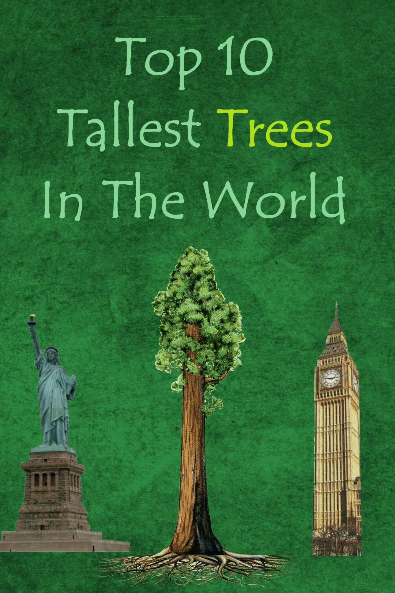 Top 10 Tallest / Highest Trees In The World - US or California