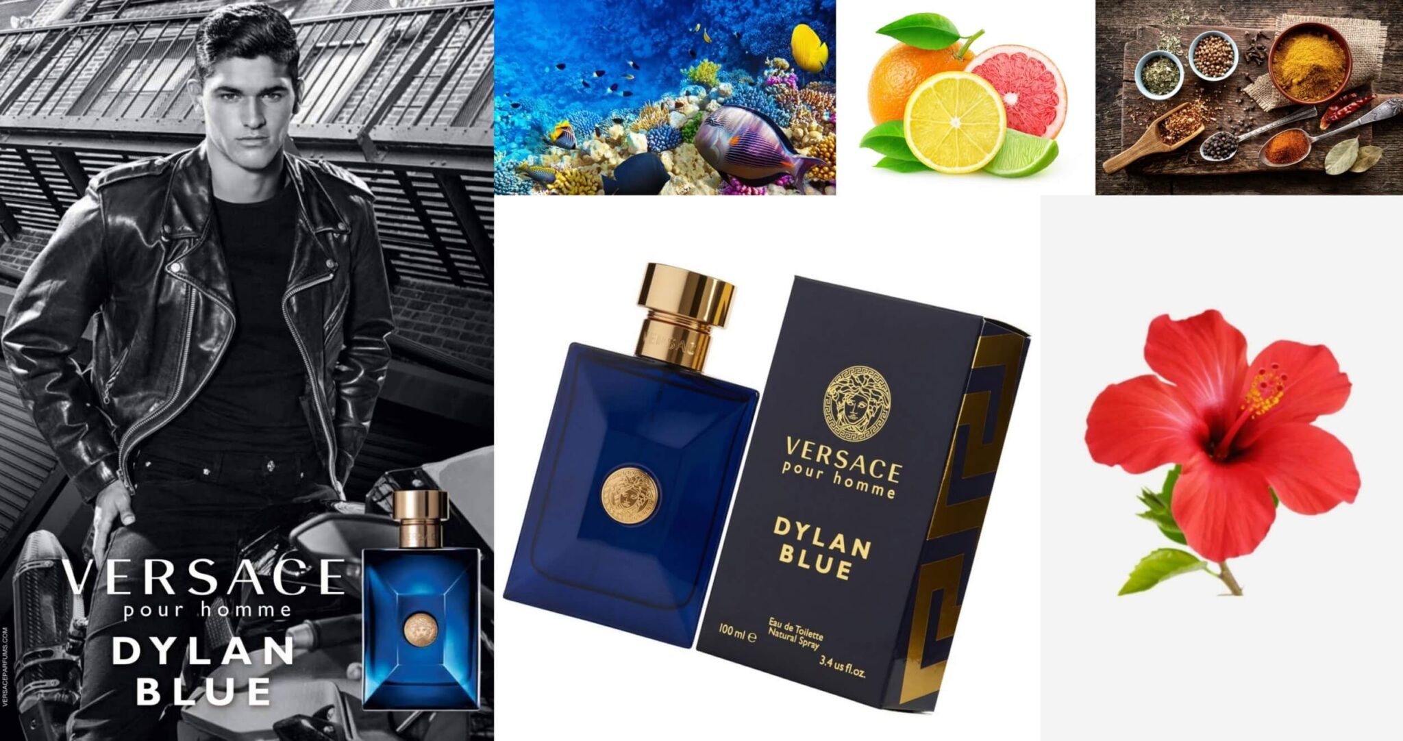 Top 10 Best Perfumes / Cologne For Men In The World - Top Ten Lists
