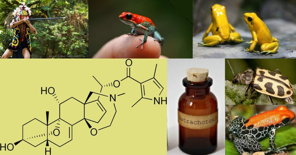 Top 10 Most Deadly Poisons of The World For Mankind - Top Ten Lists