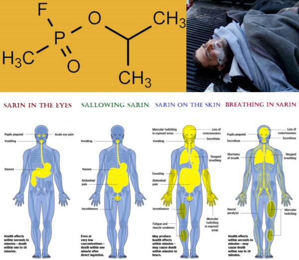 Top 10 Most Deadly Poisons of The World For Mankind - Top Ten Lists