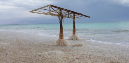 Why Ocean Water Is Salty? But Rivers aren't? Scientific Explanations