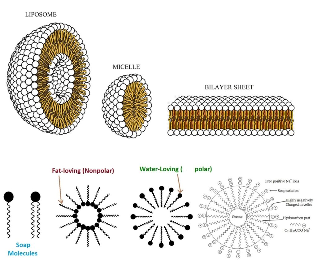 Why Are Bubbles Formed In Soap Solution? - Types of Soap