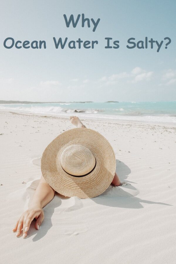 Why Ocean Water Is Salty? But Rivers aren't? Scientific Explanations