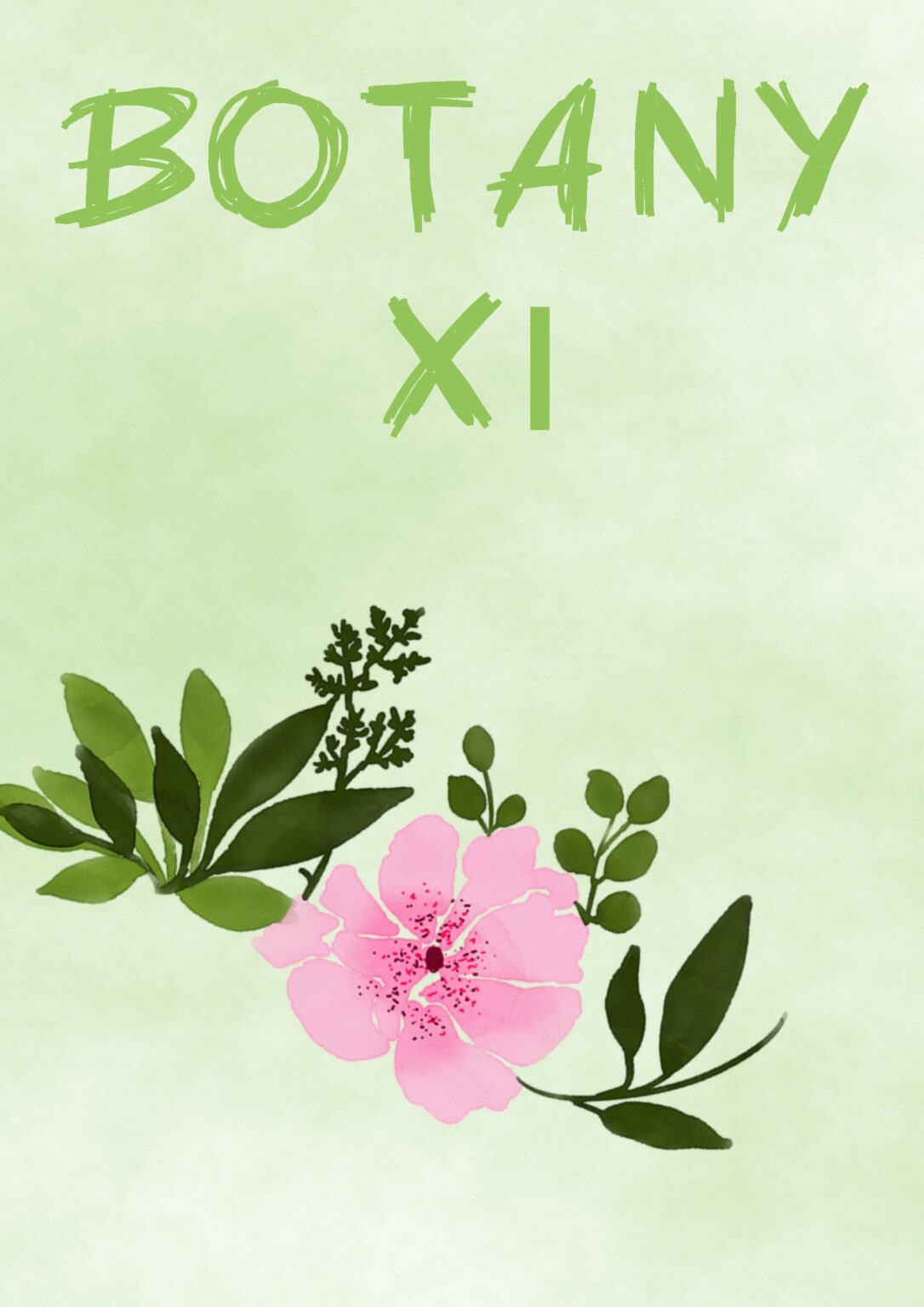 Botany (Handwritten) Color Notes PDF for Class 11 - Biology NEET