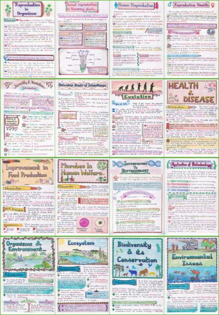 Class 12 Biology (Chapters 1-16) Handwritten Notes PDF - CBSE