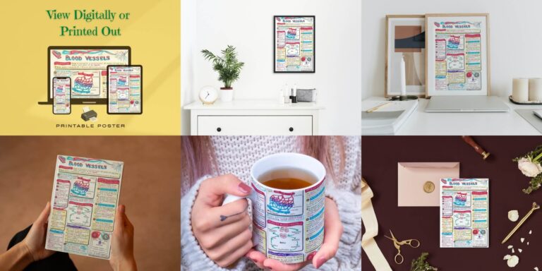 Human Blood Vessels Infographic (Handmade) Image - Biology Sc.